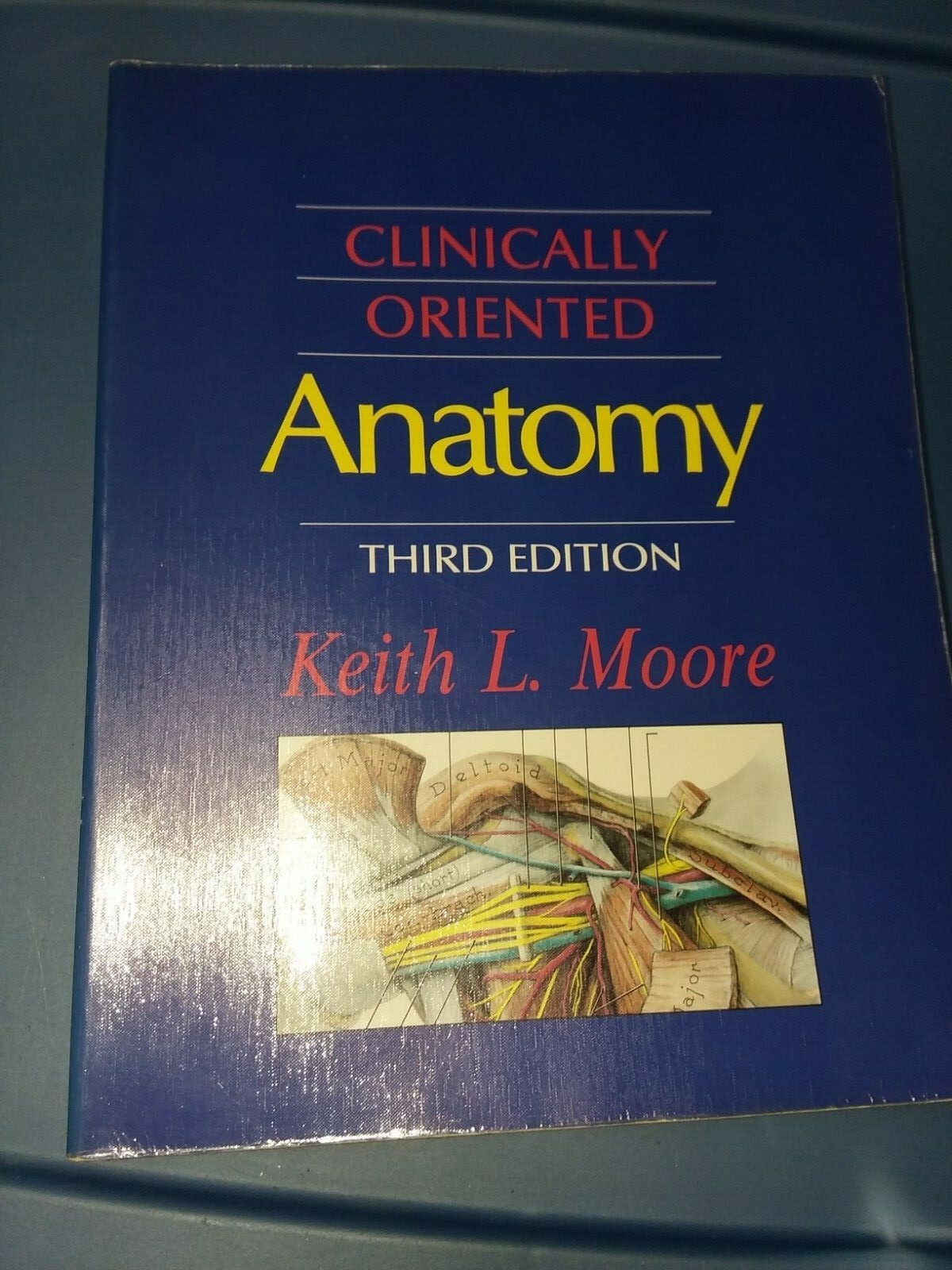Clinically Oriented Anatomy by Keith L. Moore (Paperback-Revised) | eBay