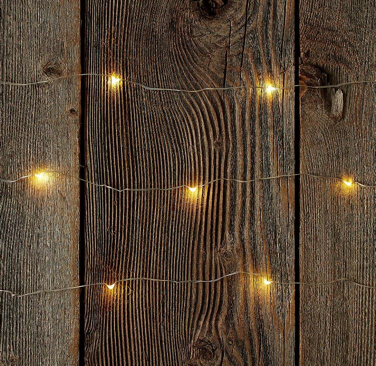 Tiny Lites Battery Operated Silver Wire Indoor LED Light String, Warm ...