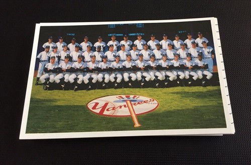 COMPLETE SET 1961 NY YANKEES RON LEWIS FINE ART CARD POSTCARD With Free ...