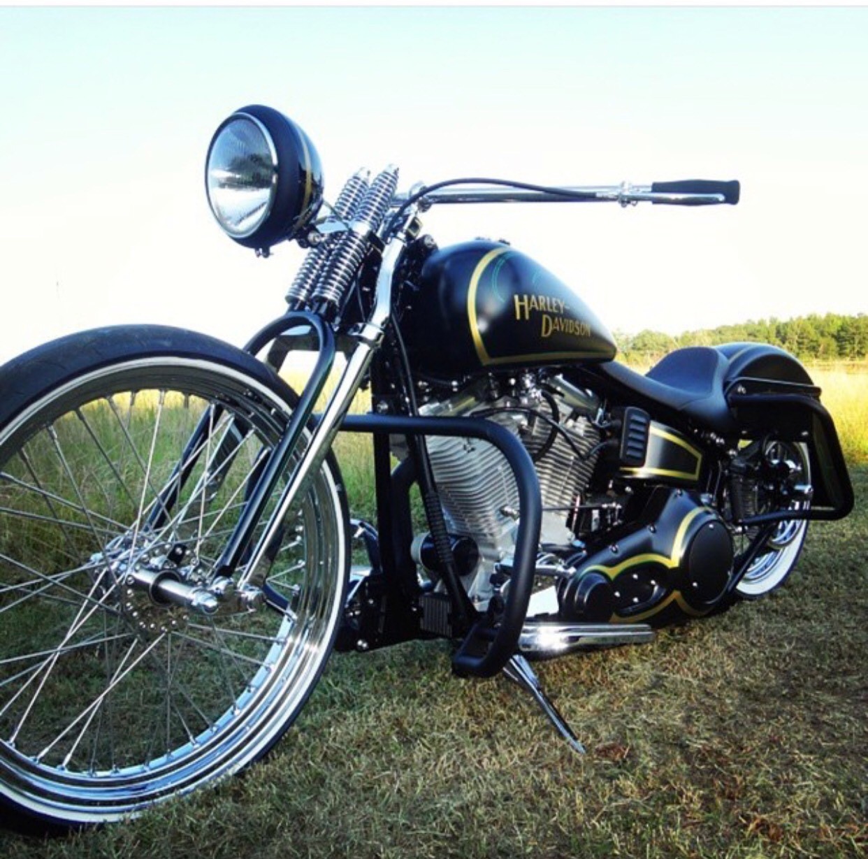 DNA Springer Front End Hoop Kit + Stabilizer Bobber IronHead Xs650 fork ...