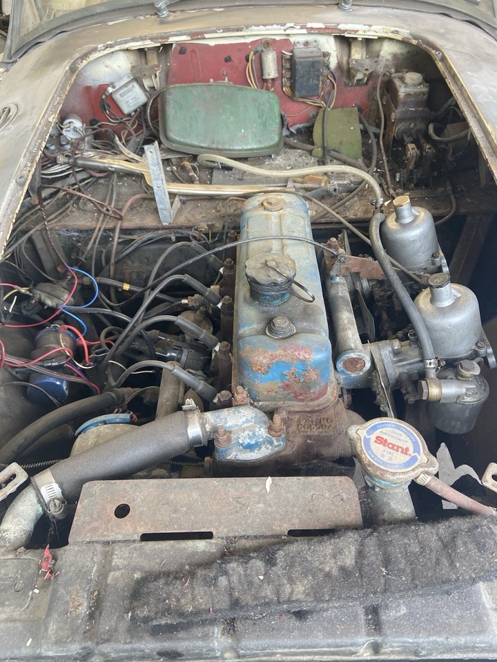 MGA for Sale | eBay UK