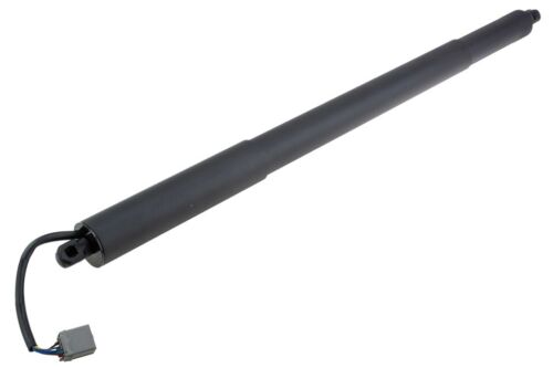 TAILGATE GAS SPRING FOR FORD EDGE 2011-2014 LINCOLN MKX 2011-2015 ...