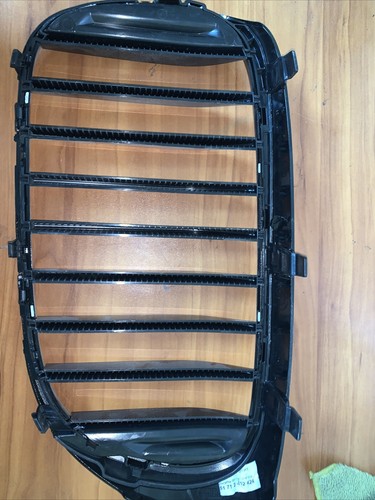 BMW 7-SERIES RIGHT PASSENGER KIDNEY GRILLE (black) OEM USED 51137357012 ...