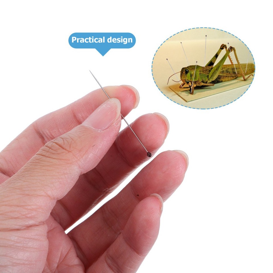 4 Boxes Butterfly Display Needles Mounting Kit Entomology Student ...