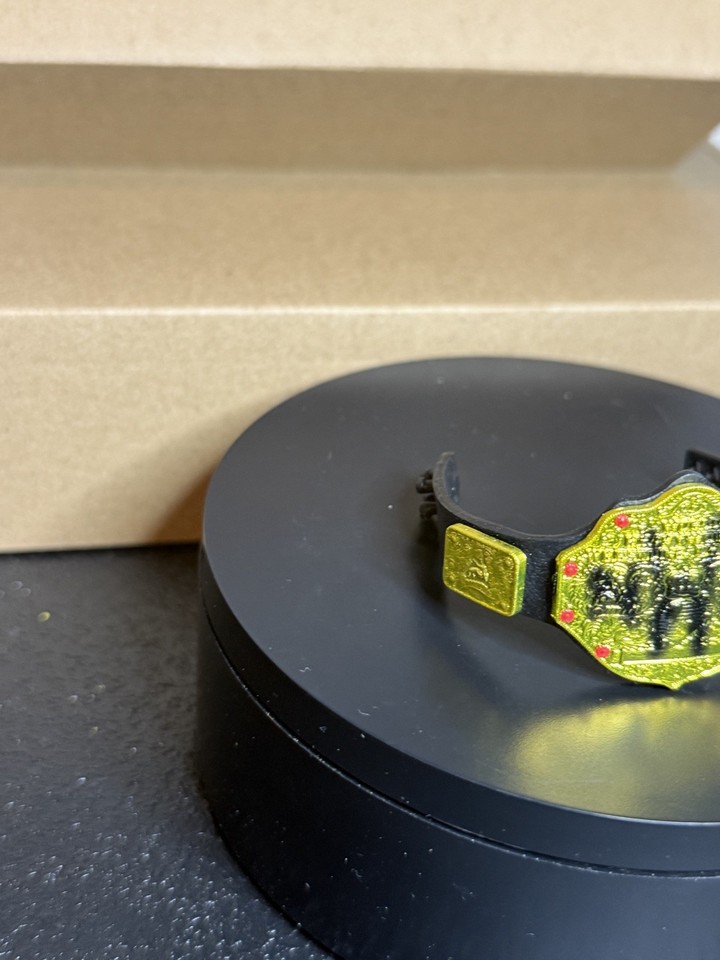 WWE/WCW nWo World Heavyweight Championship Title Belt Action Figure ...