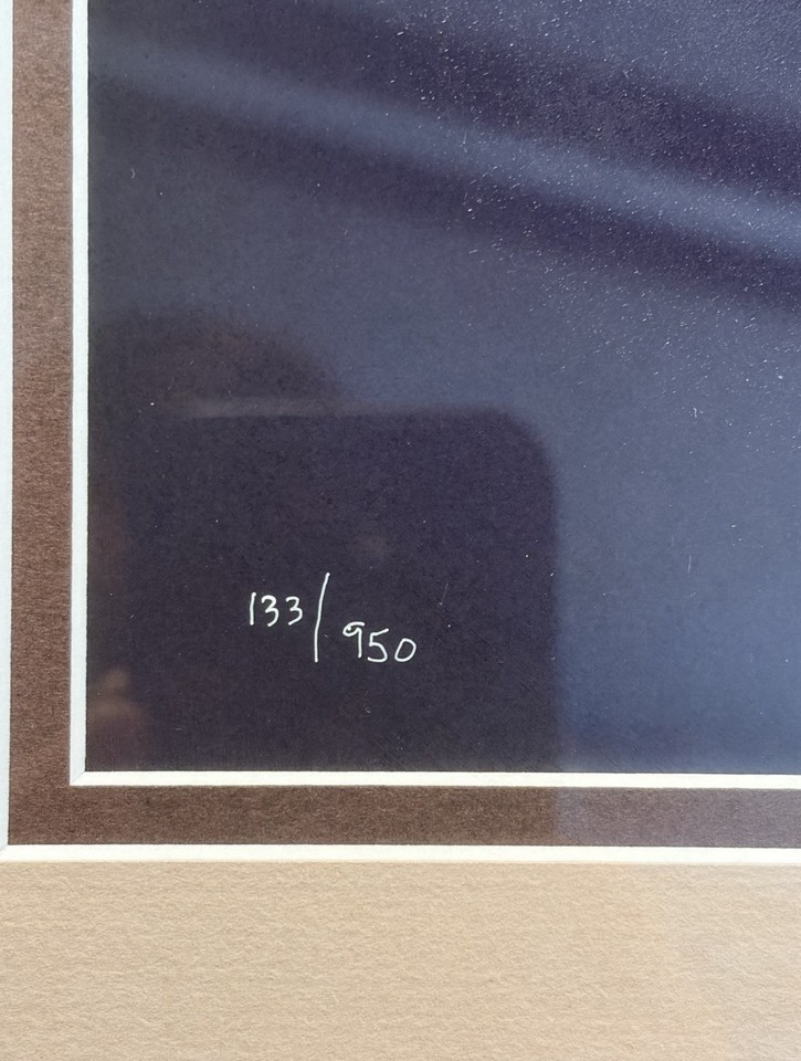 Thomas Mangelsen Signed "Giraffes at Sunset" 133/950 | eBay