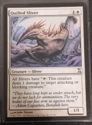 Quilled Sliver Time Spiral Regular | eBay