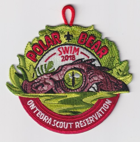 Theodore Roosevelt Council: Onteora Scout Reservation-POLAR BEAR SWIM ...