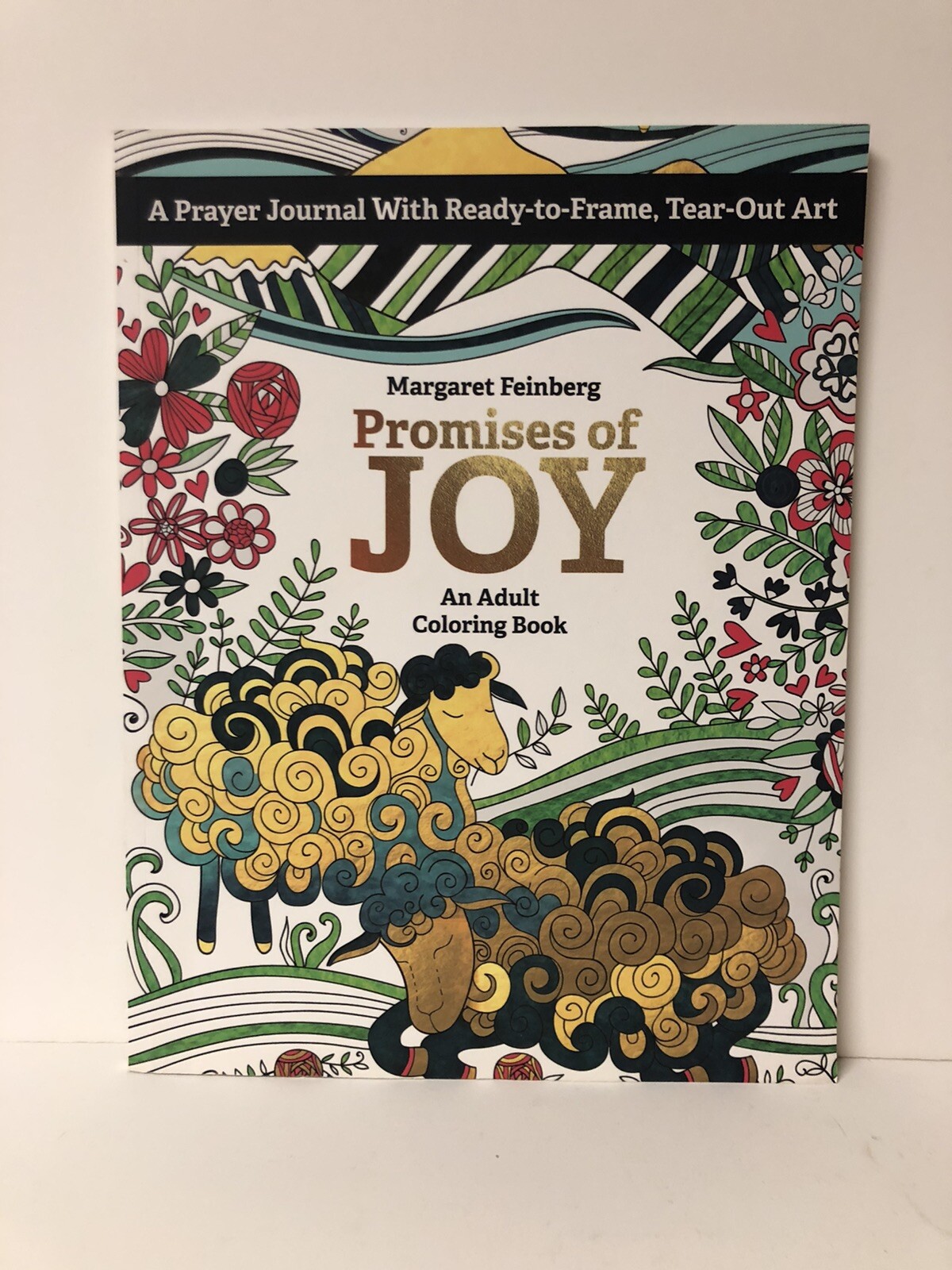 Promises of Joy : An Adult Coloring Book by Margaret Feinberg (2016 ...