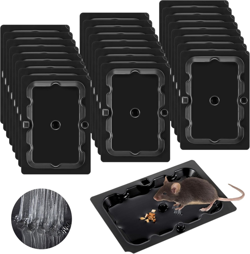 36 Pack Mouse and Insect Glue Traps, Strong Sticky Mice Traps Indoor ...