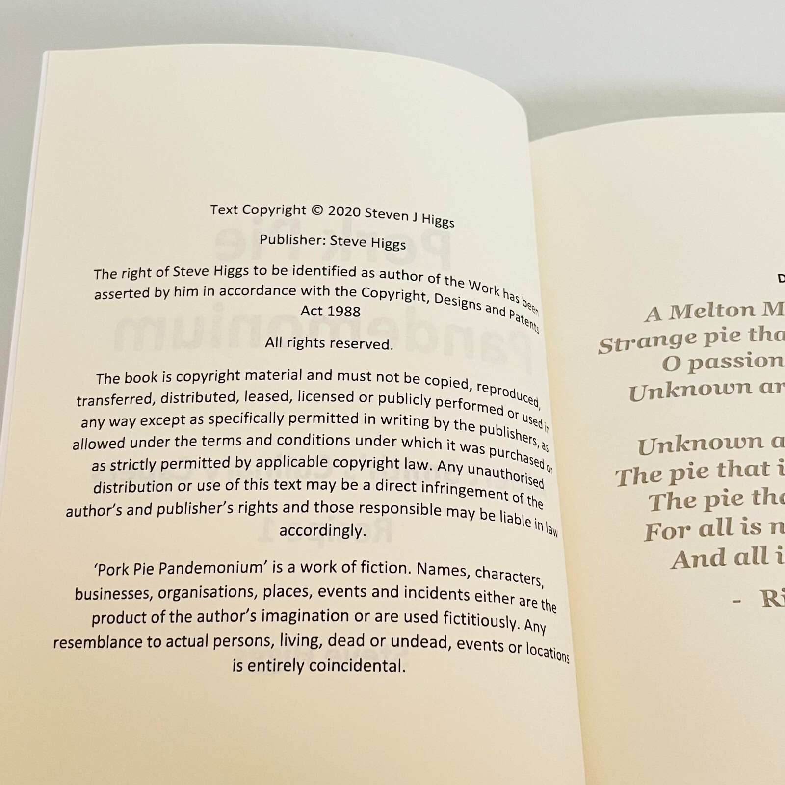 Pork Pie Pandemonium by Steve Higgs Paperback Fiction Novel 2020 ...