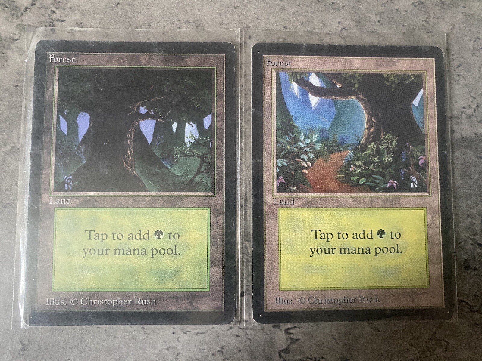 Magic the Gathering Beta Basic Land Forest Lot Of 2 Cards 1993 Rare ...