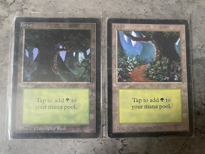 Magic the Gathering Beta Basic Land Forest Lot Of 2 Cards 1993 Rare ...