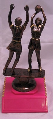 Netball Dual Figurines Trophy 168mm Engraved FREE | eBay
