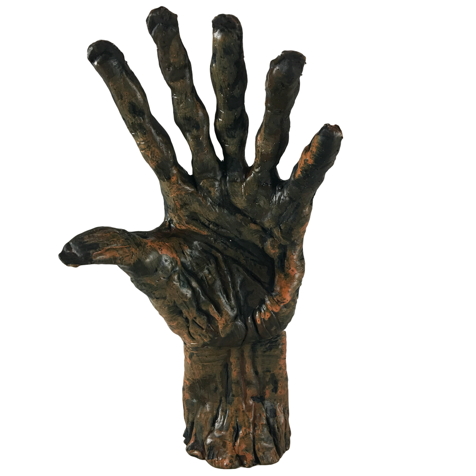 Bizarre! 6 Finger Mummified Mummy Hand Gaff Curriosity Medical Specimen ...