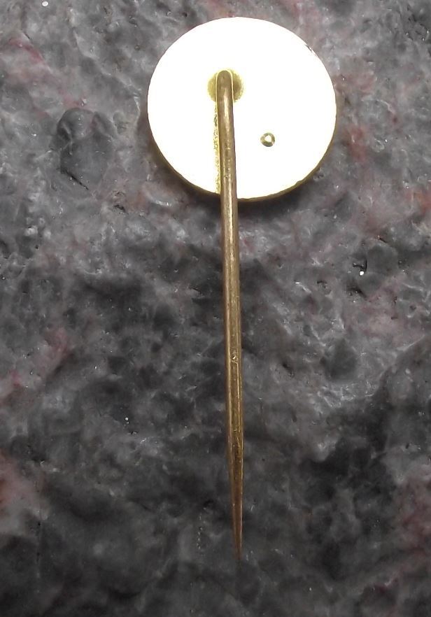 Antique Prague Zoo Praha Wild Pig Hairy Boar Czech Safari Park Tourist ...