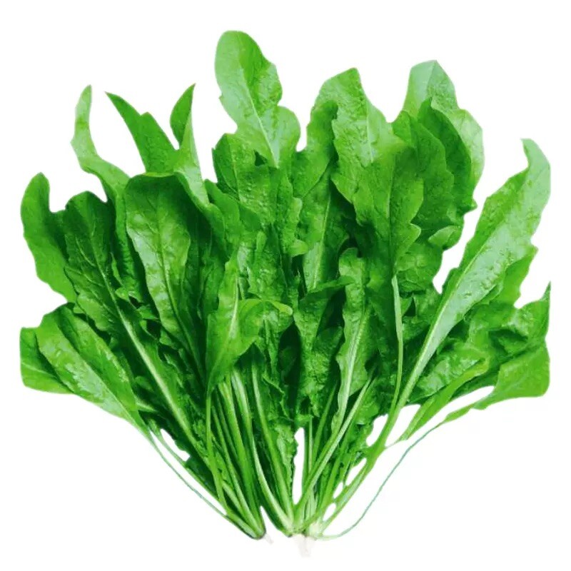 700+Shepherd's Purse Capsella Bursa-pastoris Ji Cai Naengi seeds 700 ...