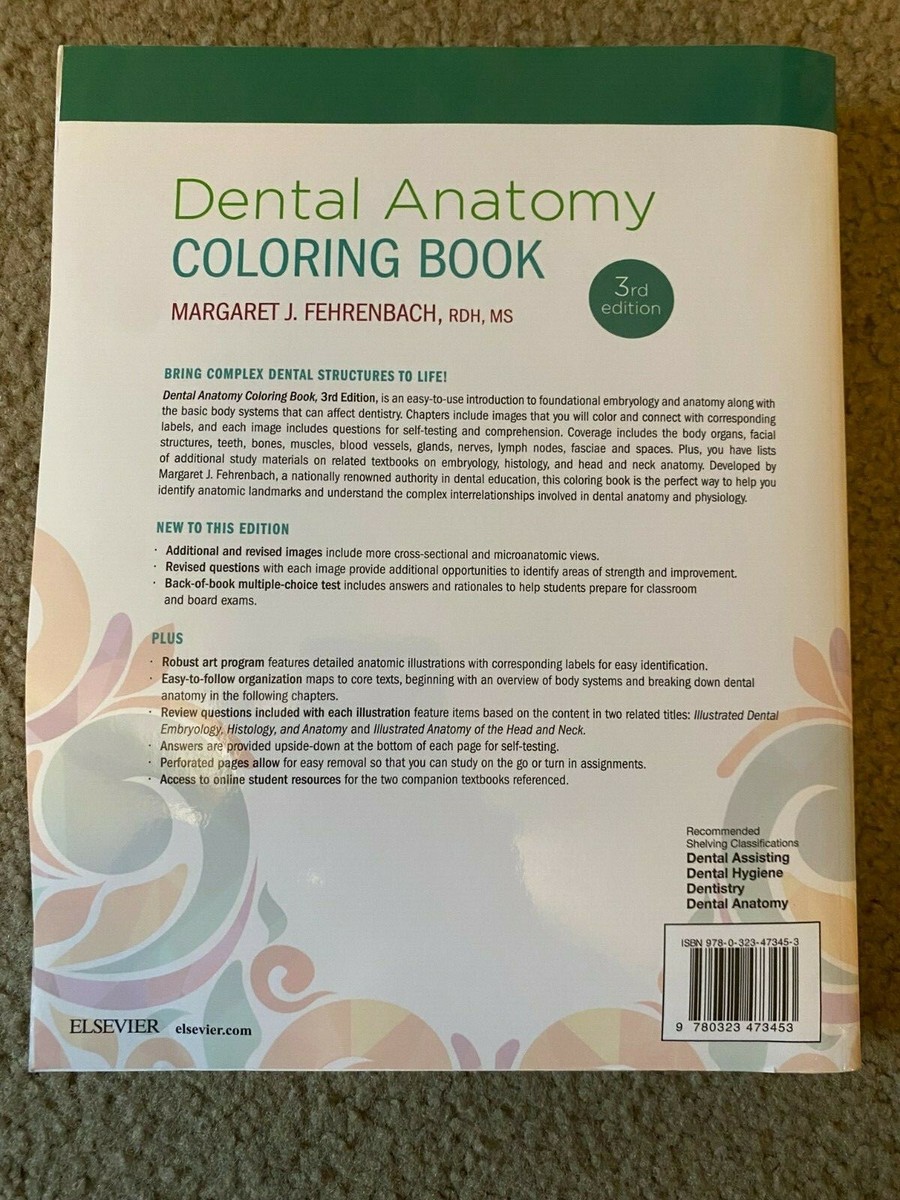 Dental Anatomy Coloring Pages