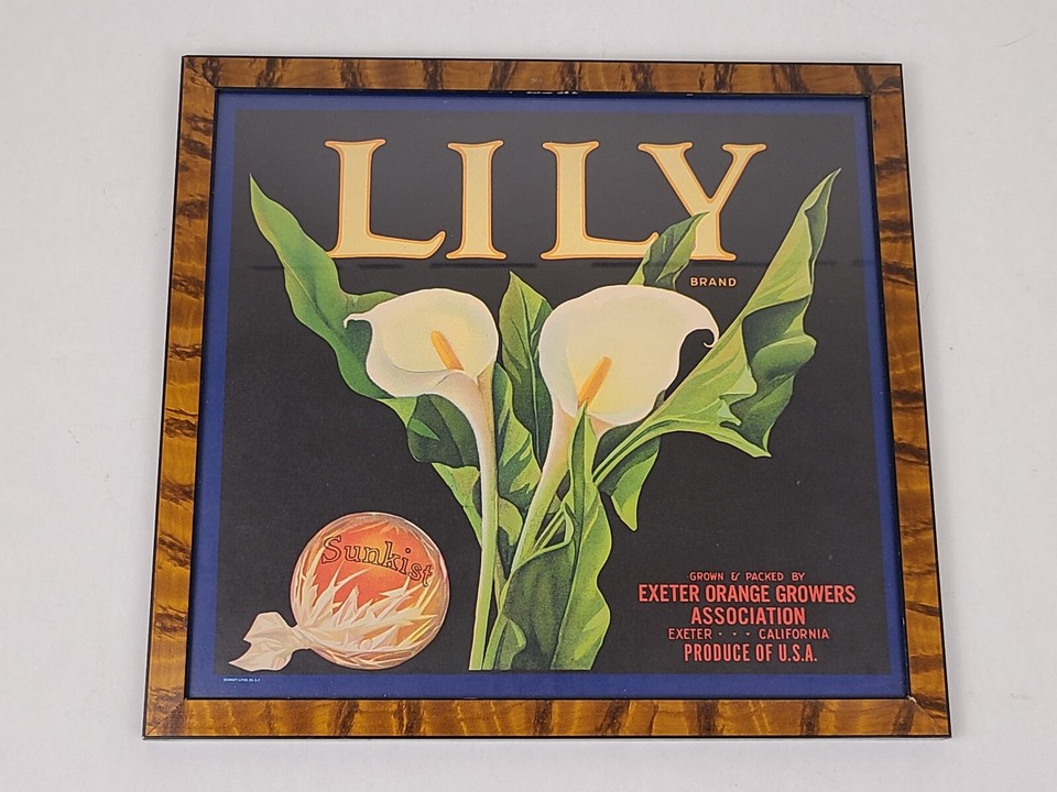 Lily Oranges Fruit Crate Label Framed Exeter California Wall Decor ...