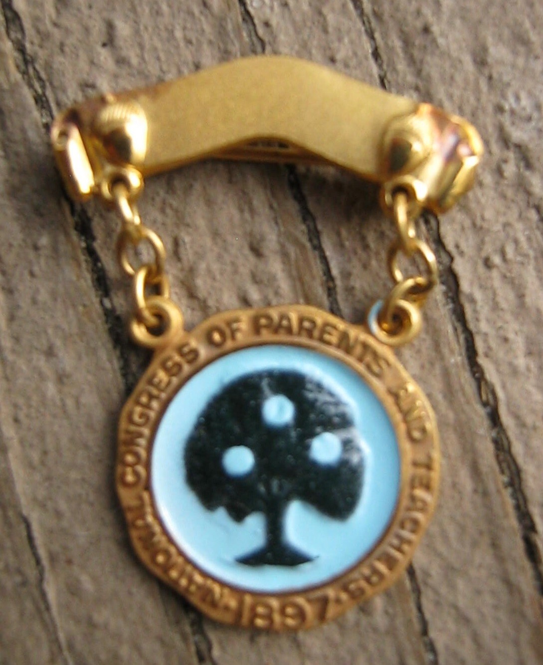 1897 NATIONAL CONGRESS OF PARENTS AND TEACHERS LAPEL PIN - 1/20 14K ...