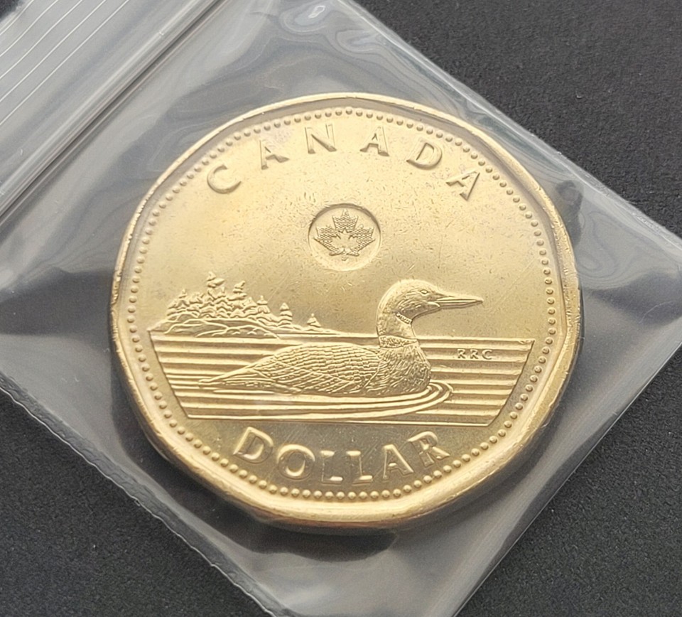 CANADA LOONIE 2021 *** FROM MINT ROLL *** | eBay