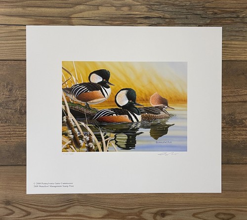 WTDstamps - 2009 PENNSYLVANIA - State Duck Stamp Print **GERALD PUTT ...