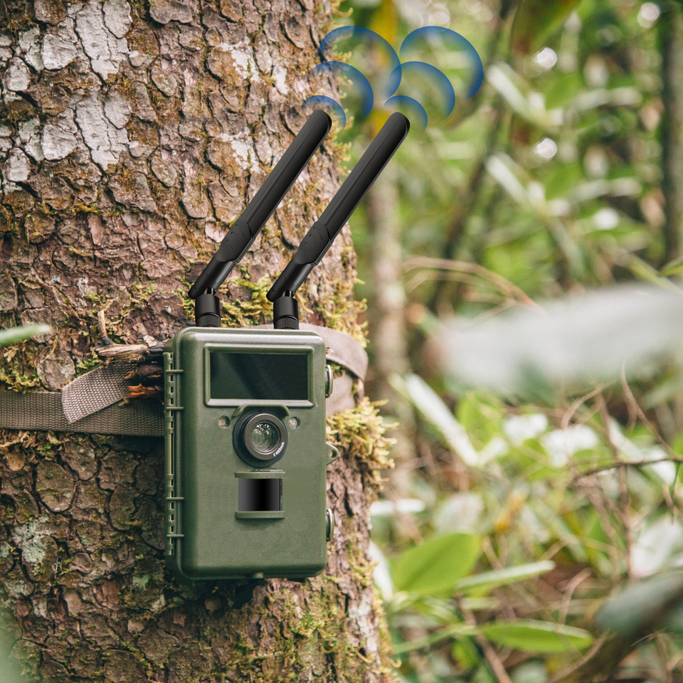 4G Antenna For Spypoint FLEX G36 Cellular Trail Camera Mobile Security ...