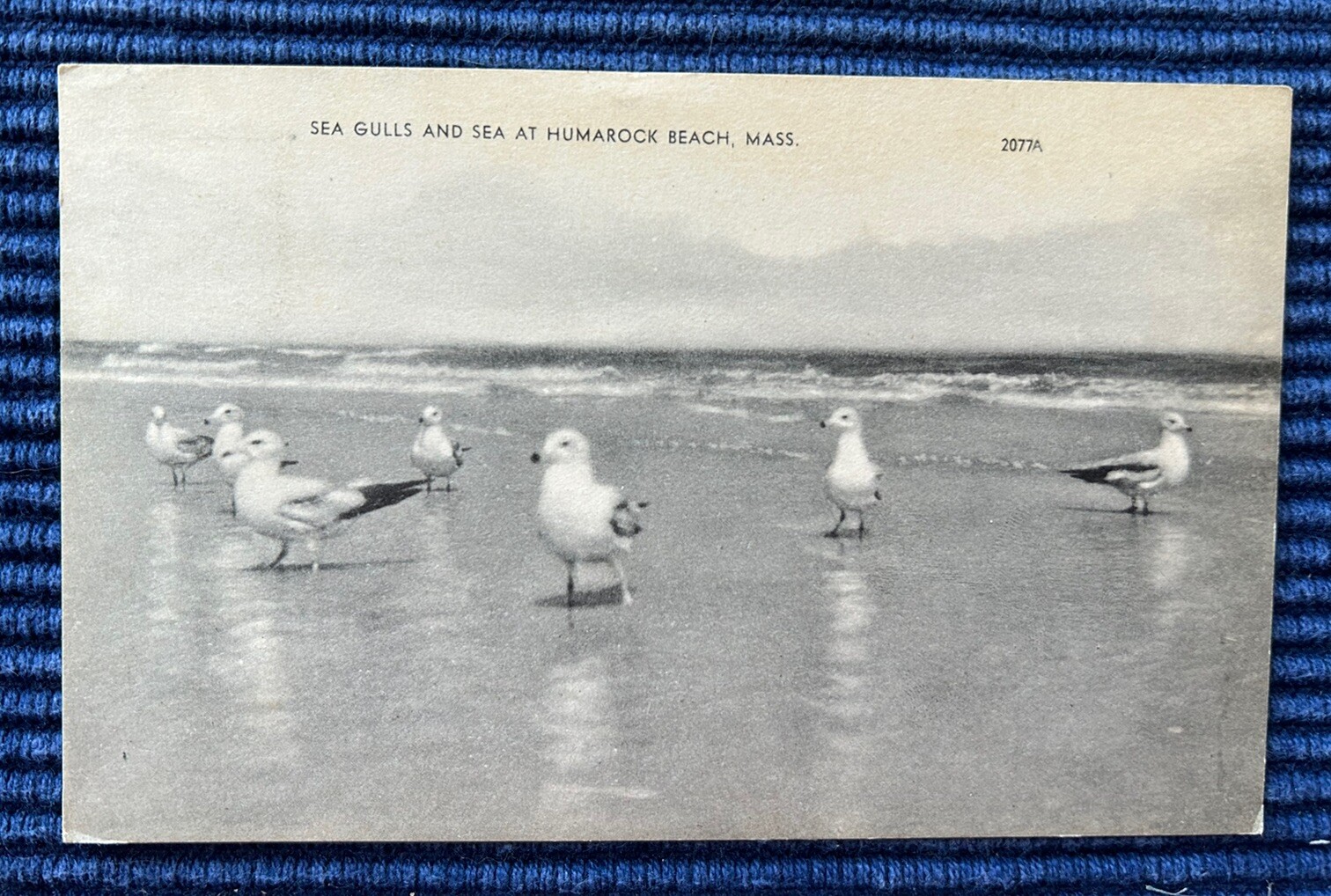 SCITUATE, MA MASS~Gulls & Sea at Humarock Beach~1952 Humarock Postmark ...