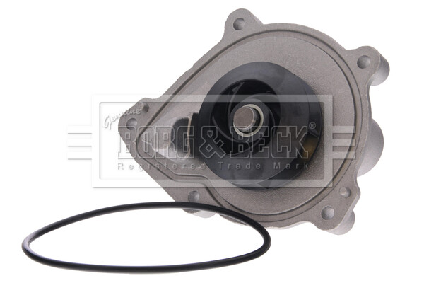 CAPSautomotive Water Pump for Citroen 1201H8 9801573380 | eBay