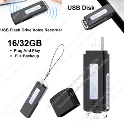 BUG USB Voice Activated Recorder Digital Mini Audio Listening Device ...