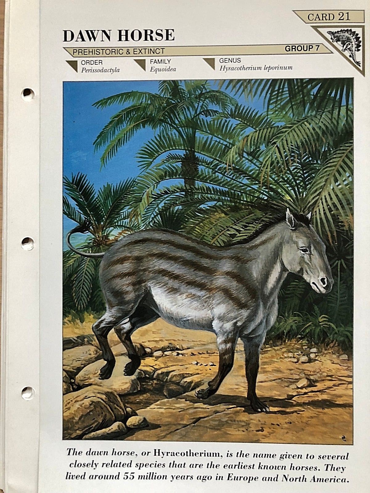 Wildlife-Fact-File-Extinct Animals-Wild Animals-School-Nature-From 1 to ...