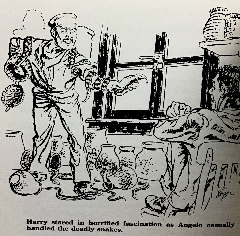 Vintage 1980 MISSIONARY in EARLY BURMA Myanmar Leopard By Goldie Down ...