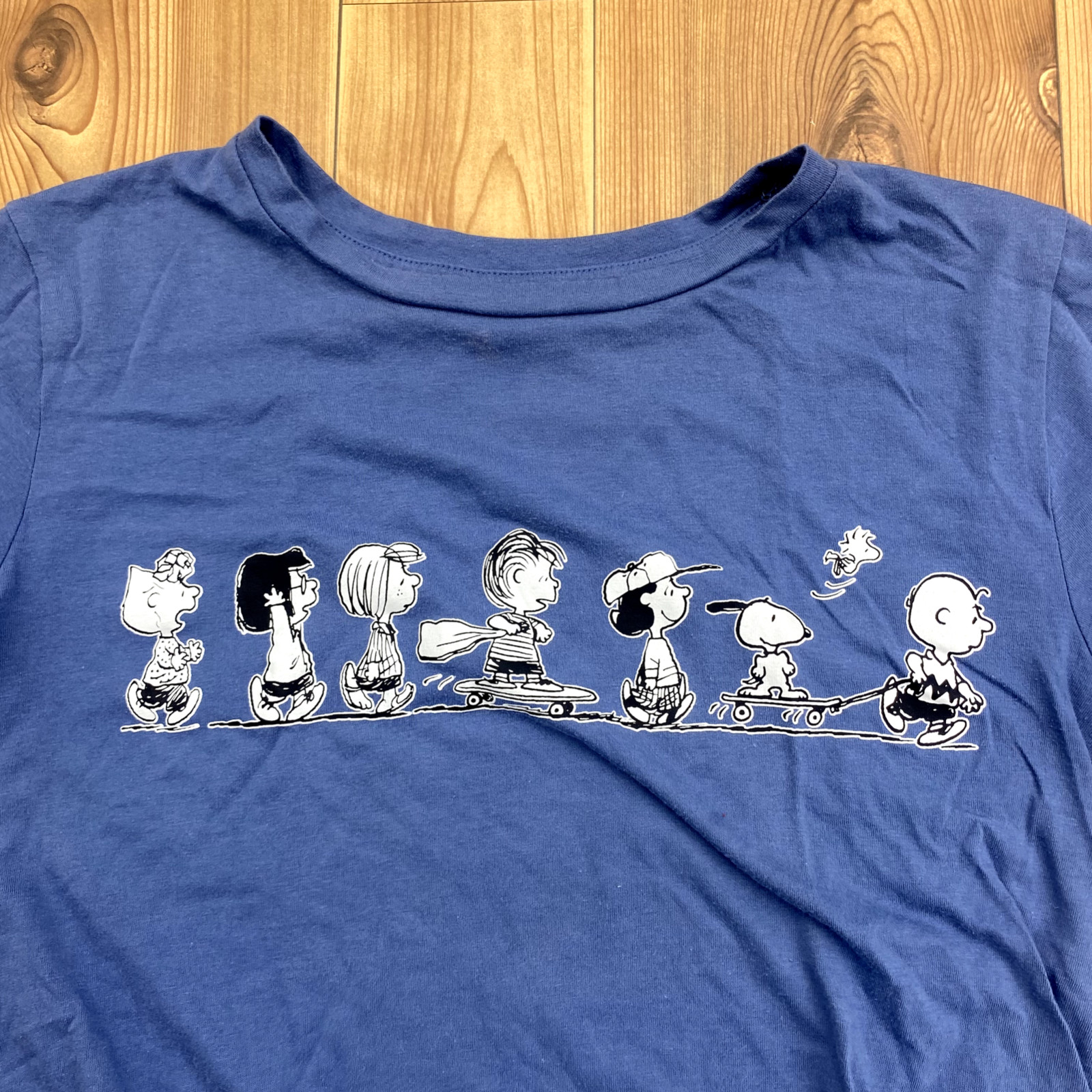 Peanuts Blue Peanuts Gang Following Charlie Brown Gra… - Gem
