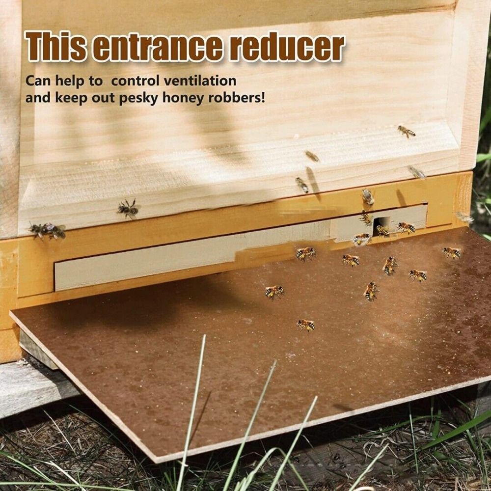 Beehive Entrance Wood Hive Entrance Protector Beekeeper Equip ...