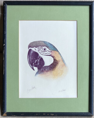 RARE Blue & Yellow Macaw Bird Signed Framed Art Print Artist Eric Peake ...