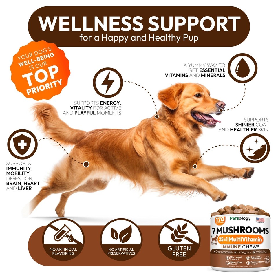 Mushroom for Dogs 170 Chews Turkey Tail Mushroom for Dogs Mushroom | eBay