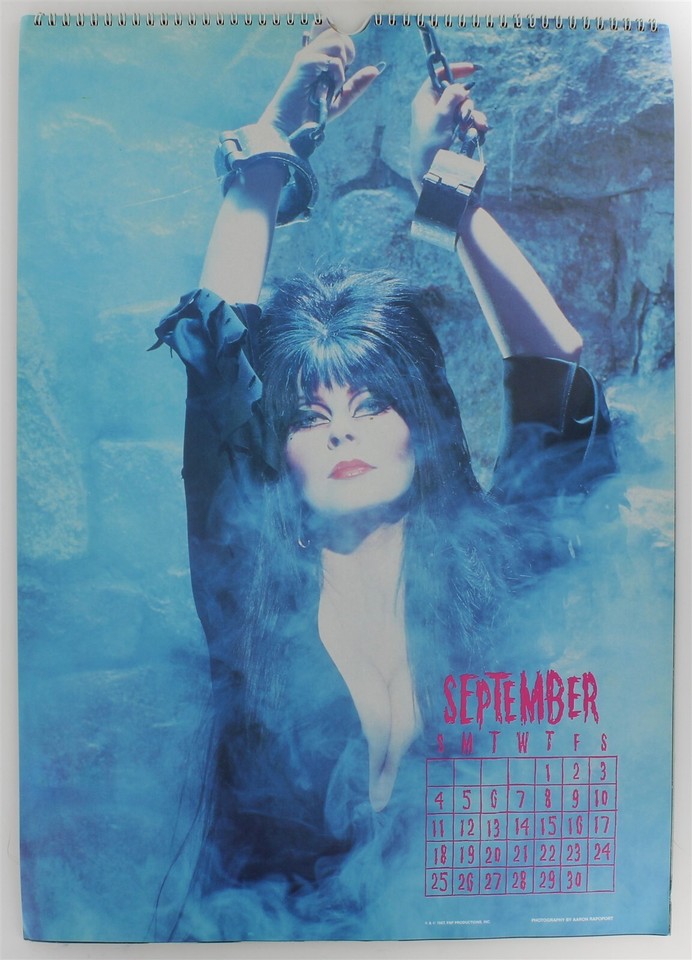 Elvira 1988 Calendar Mistress of The Dark 12x16 Cassandra Peterson ...