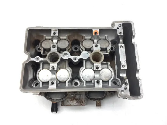 Engine Cylinder Head Complete W Valves 2016 Polaris RZR S 900 EPS 3058 ...
