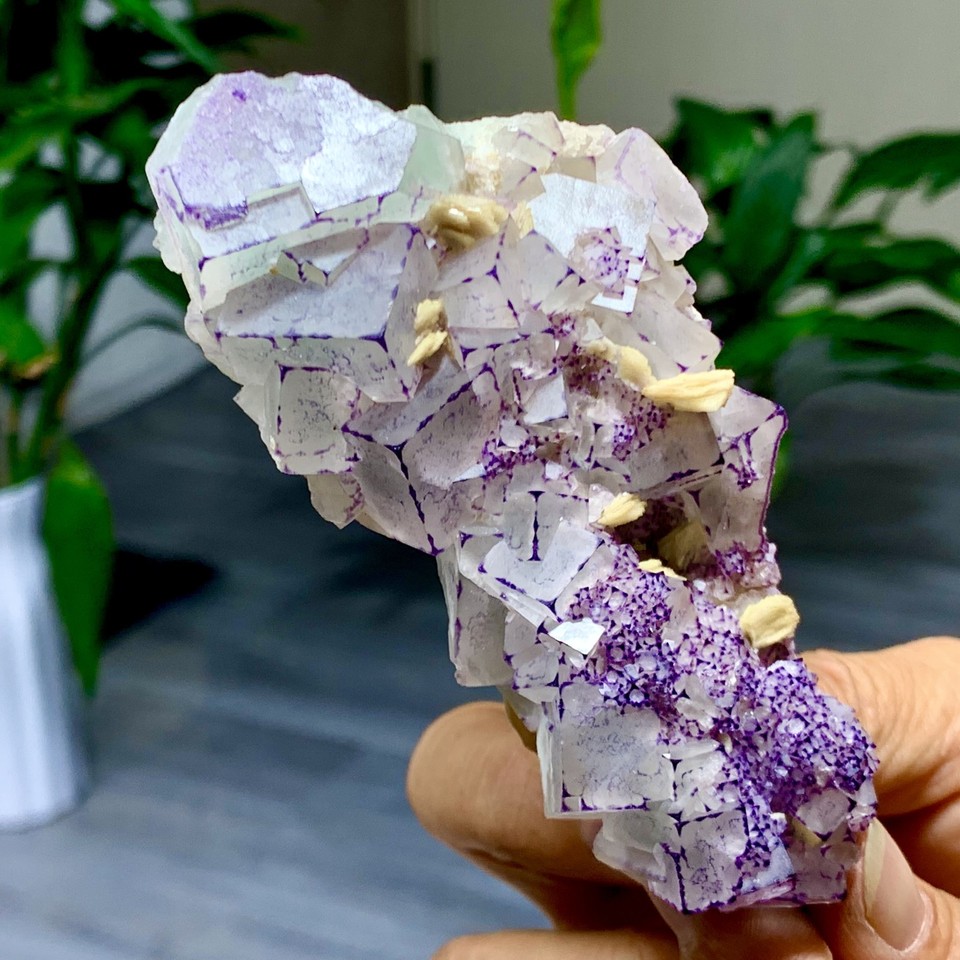 224GNatural Purple "QR Code"Fluorite Cluster Crystal Mineral Specimen ...