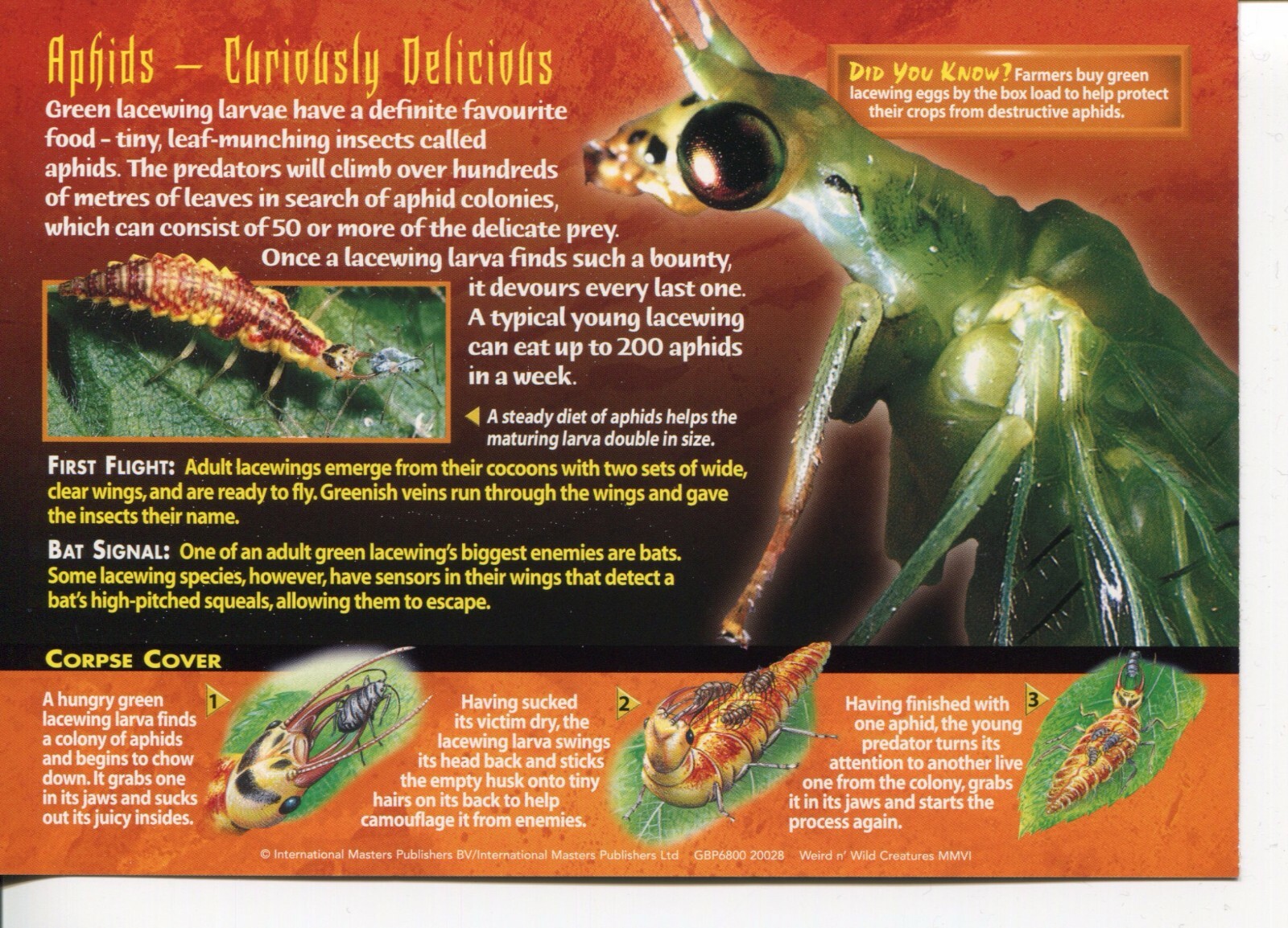 Weird N’ Wild Creatures Tiny Terrors Card 24 # Green Lacewings # LC5 ...