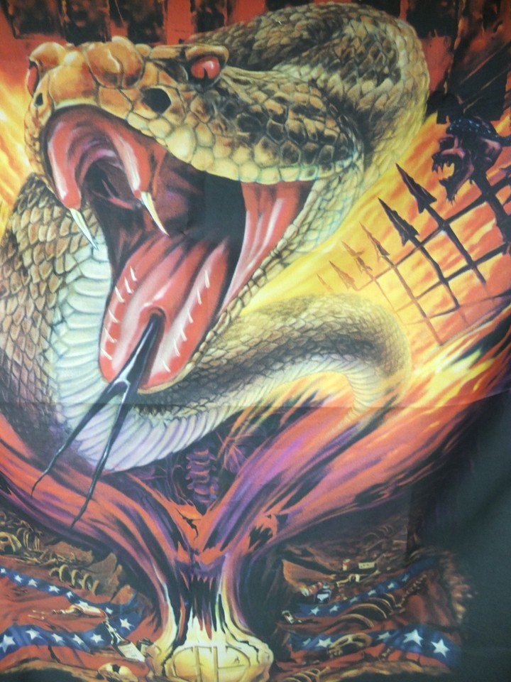 Pantera Tapestry 30.5x42 1999 Snakes and Skulls Made In Italy Fabric ...