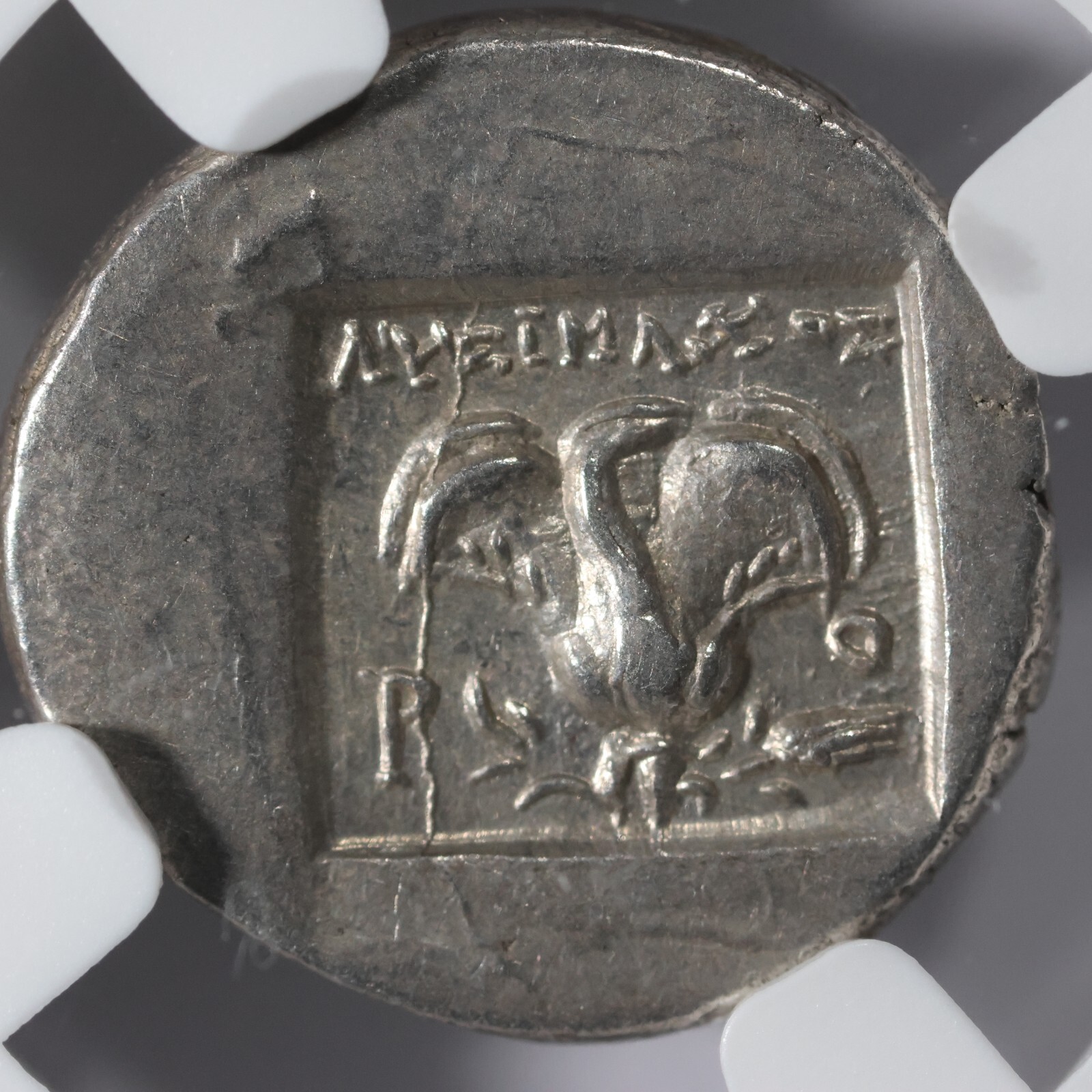 Caria, Island of Rhodes AR Drachm Rose Greek Silver Coin 88-84 BC - NGC ...