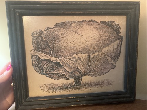 Primitive Cabbage Print 8x10 In Black Rustic Frame Kitchen Farmhouse ...