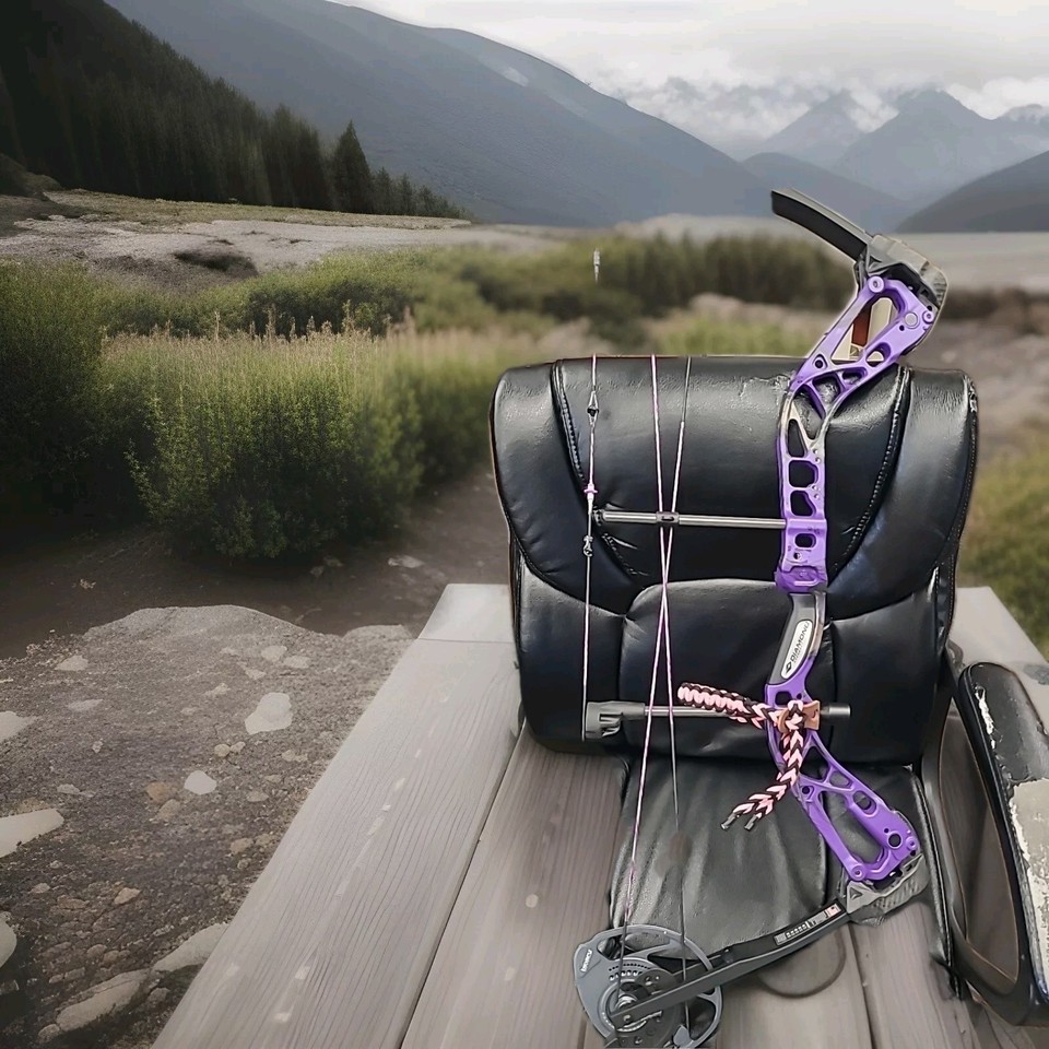 bowtech diamond edge 320 Right hand 70lbs compound bow 847019057331| eBay