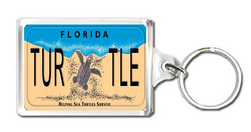 FLORIDA LICENSE PLATE HELPING SEA TURTLE SURVIVE KEYRING LLAVERO | eBay