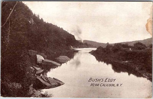 Postcard WATER SCENE Callicoon New York NY d/28 AL2799 | eBay