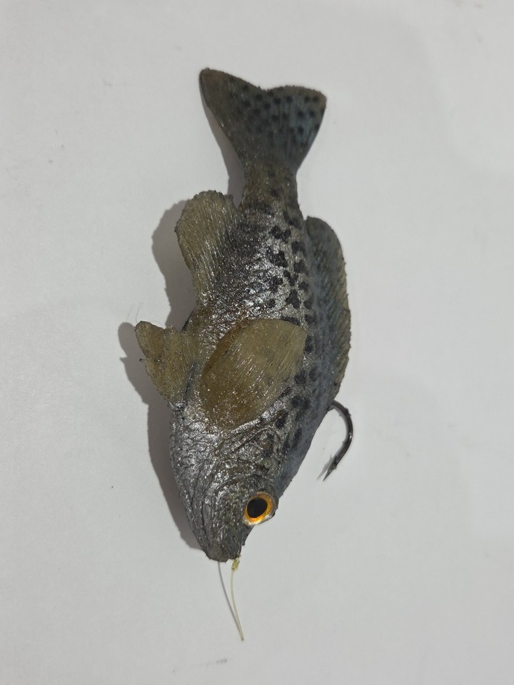 Mattlures Generation 2 Ultimate Bluegill Swimbait - Crappie - Boot Tail ...