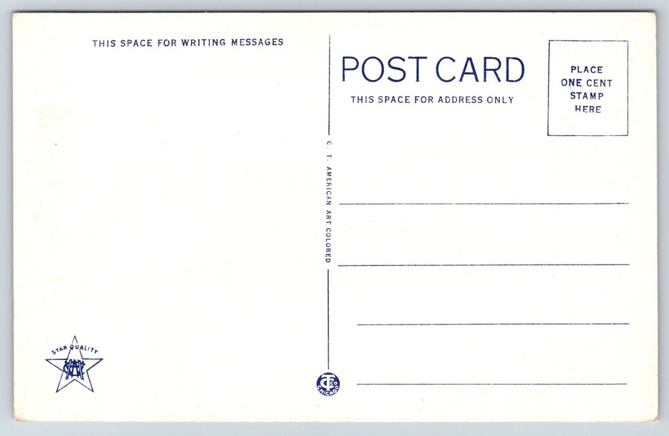 Mohawk Trail Whitcomb Summit Massachusetts MA Vintage Postcard G1 | eBay