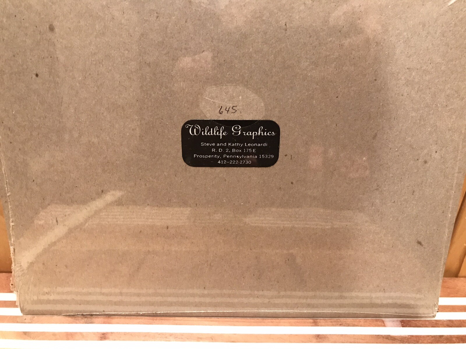 Steve Leonardi 8 X 10 Matted Flying Geese Bird Print Signed Sealed ...