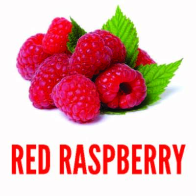 Red Raspberry Flavor Concentrate - Unsweetened (6 oz) | eBay